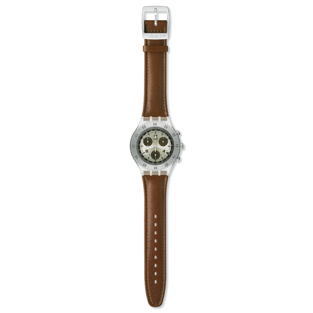 CARPANIA - SVBK4002P - Swatch® Official Store